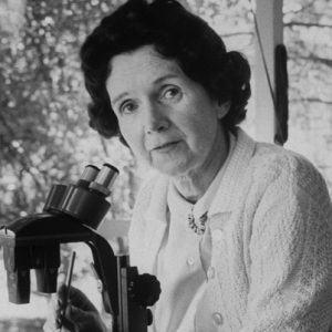 Rachel Carson and Her Book That Changed the World - La Casa Curiosa