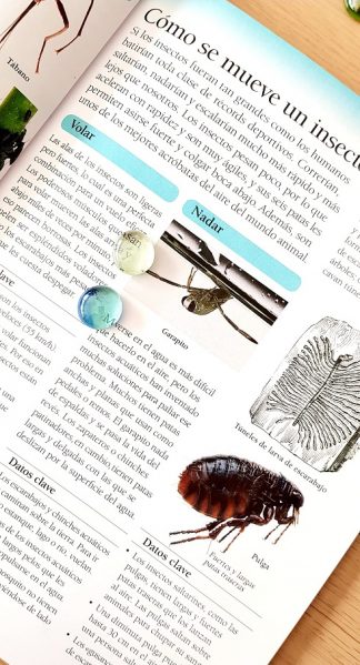 Colección de Cuadernos de Trabajo. INSECTOS - La Casa Curiosa