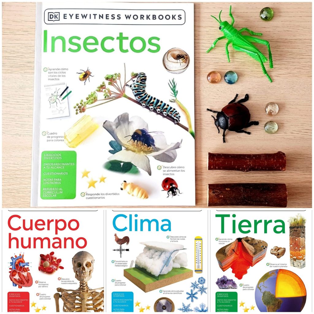 Colección de Cuadernos de Trabajo. INSECTOS - La Casa Curiosa