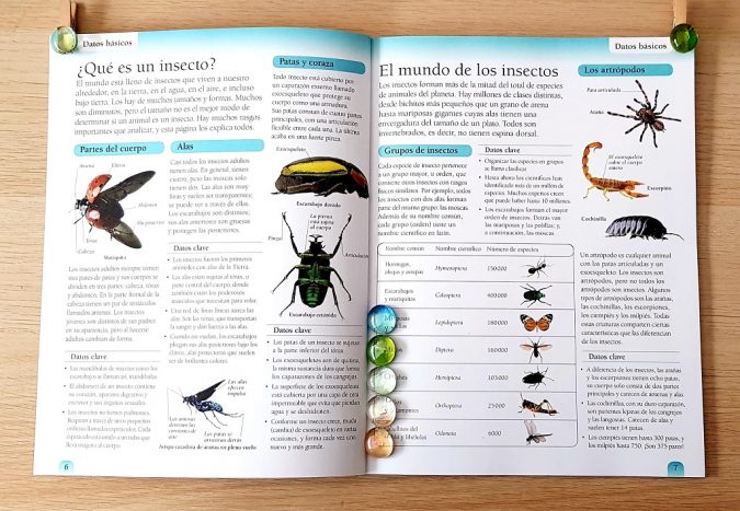 Colección de Cuadernos de Trabajo. INSECTOS - La Casa Curiosa