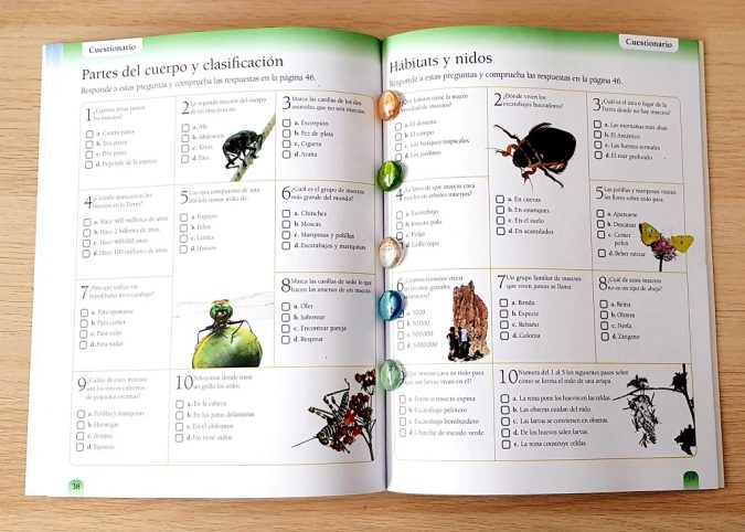 Colección de Cuadernos de Trabajo. INSECTOS - La Casa Curiosa
