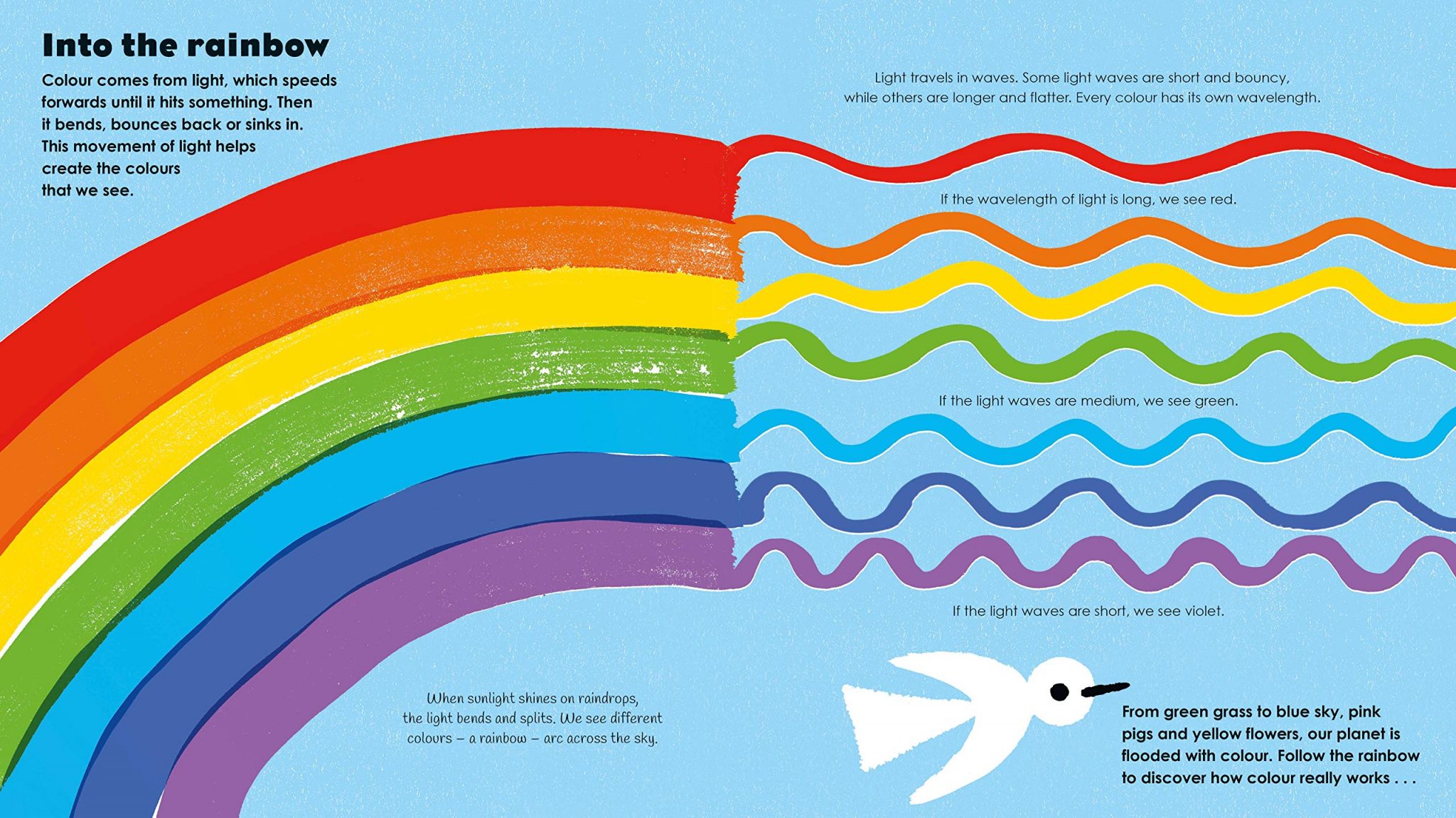 How Colour Works - La Casa Curiosa