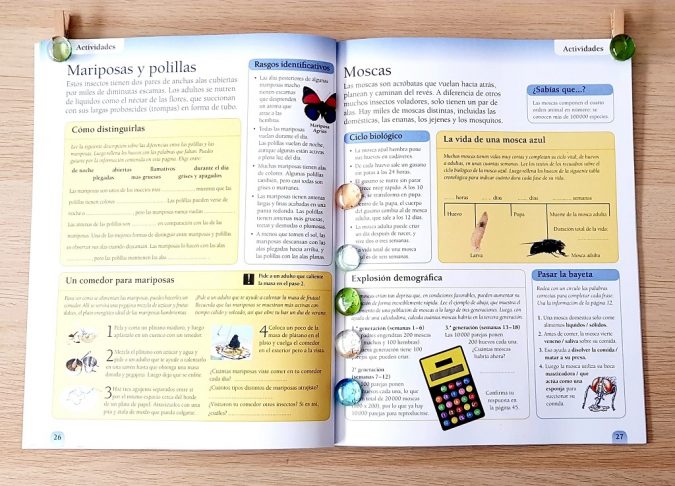 Colección de Cuadernos de Trabajo. INSECTOS - La Casa Curiosa