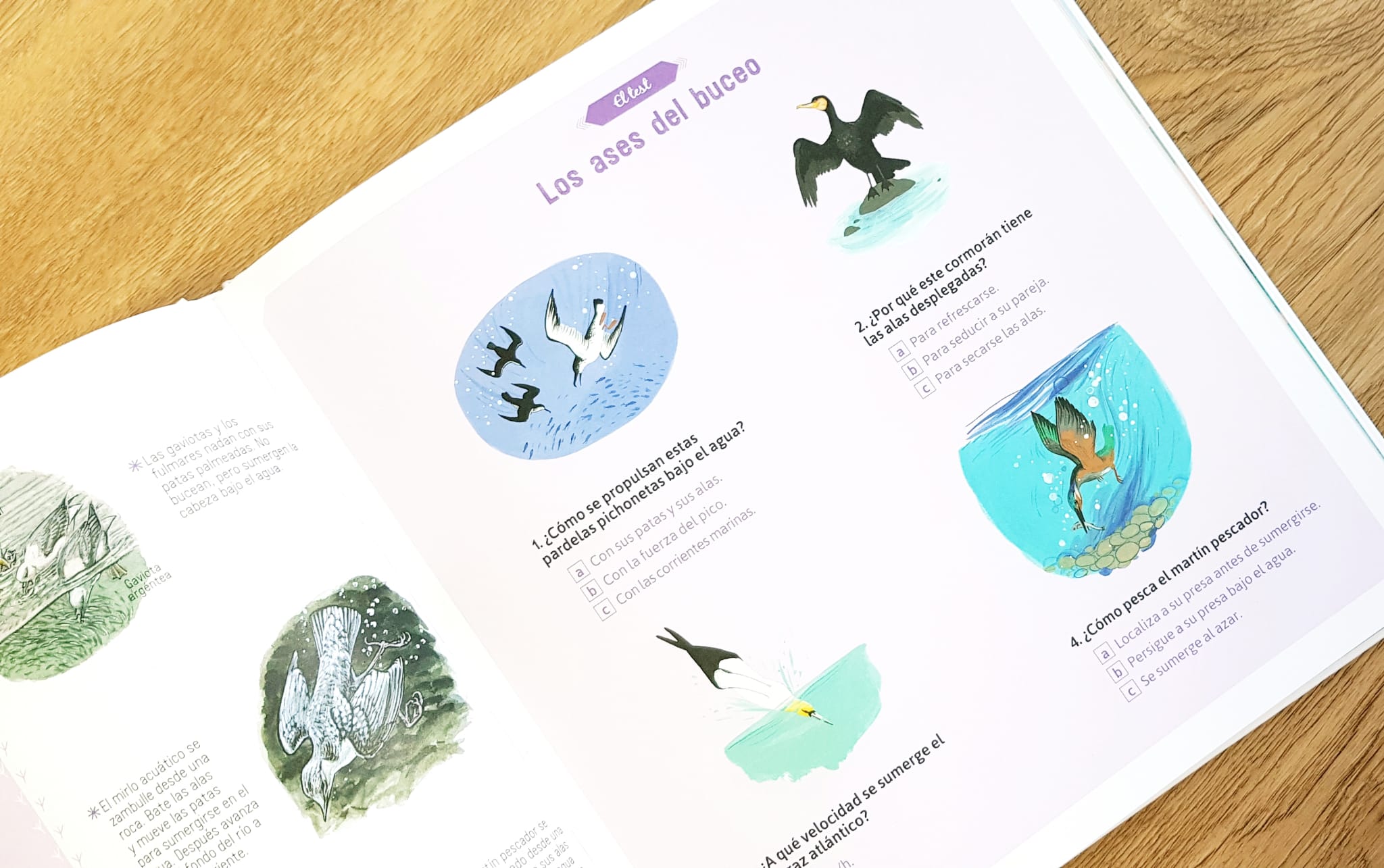 EL LIBRO DE LOS PÁJAROS - La Casa Curiosa