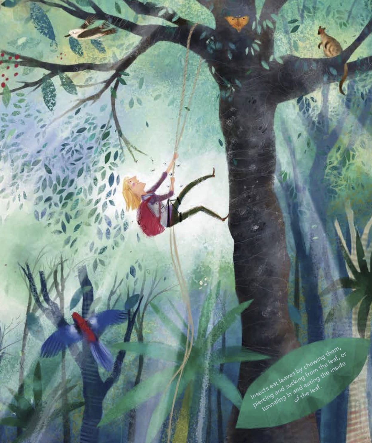 THE LEAF DETECTIVE: How Margaret Lowman Uncovered Secrets in the ...