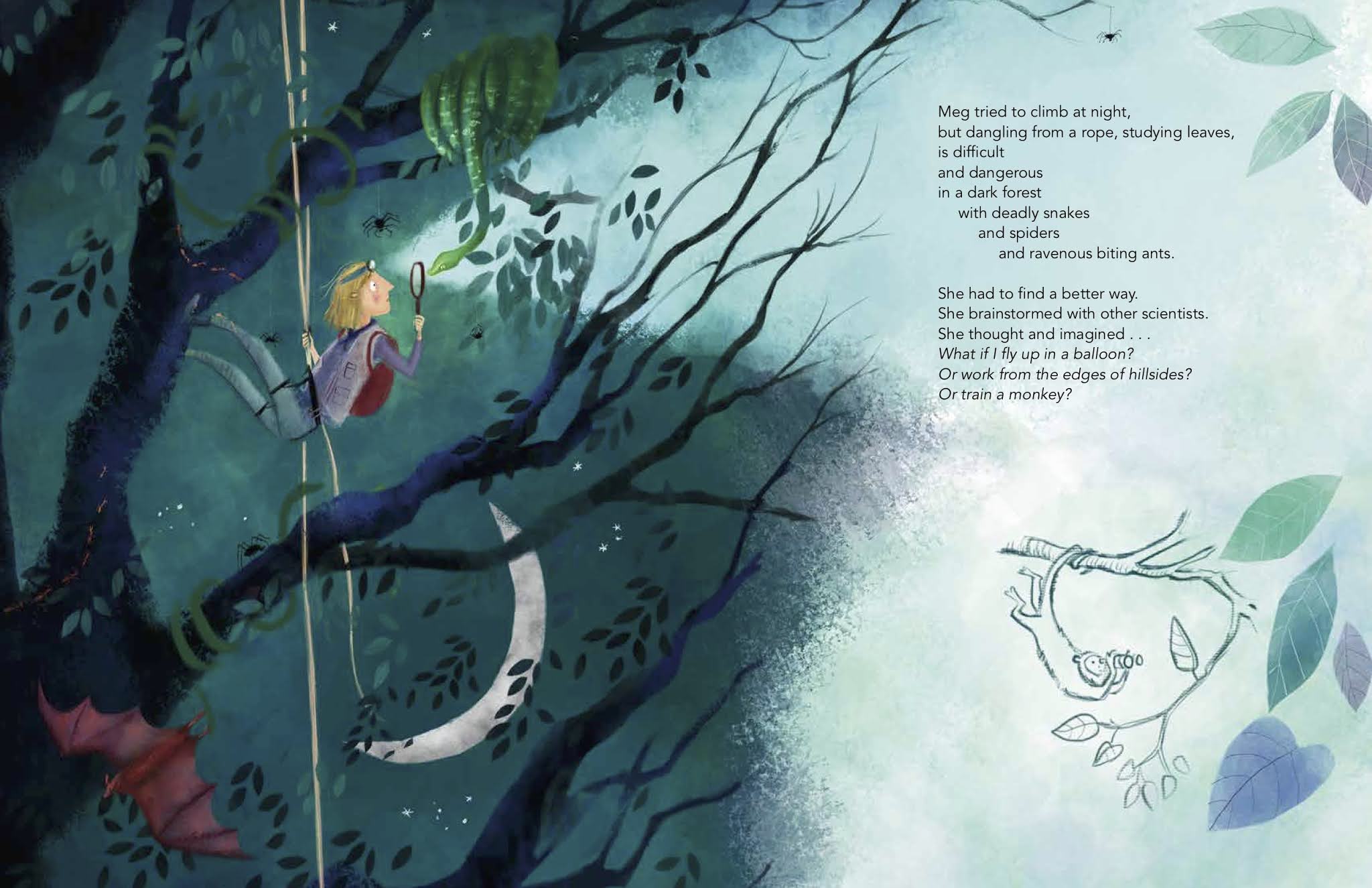 THE LEAF DETECTIVE: How Margaret Lowman Uncovered Secrets in the ...