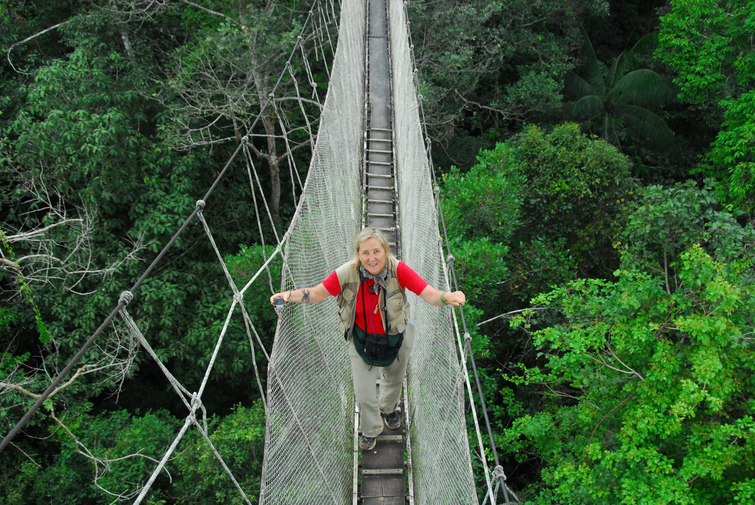 THE LEAF DETECTIVE: How Margaret Lowman Uncovered Secrets in the ...