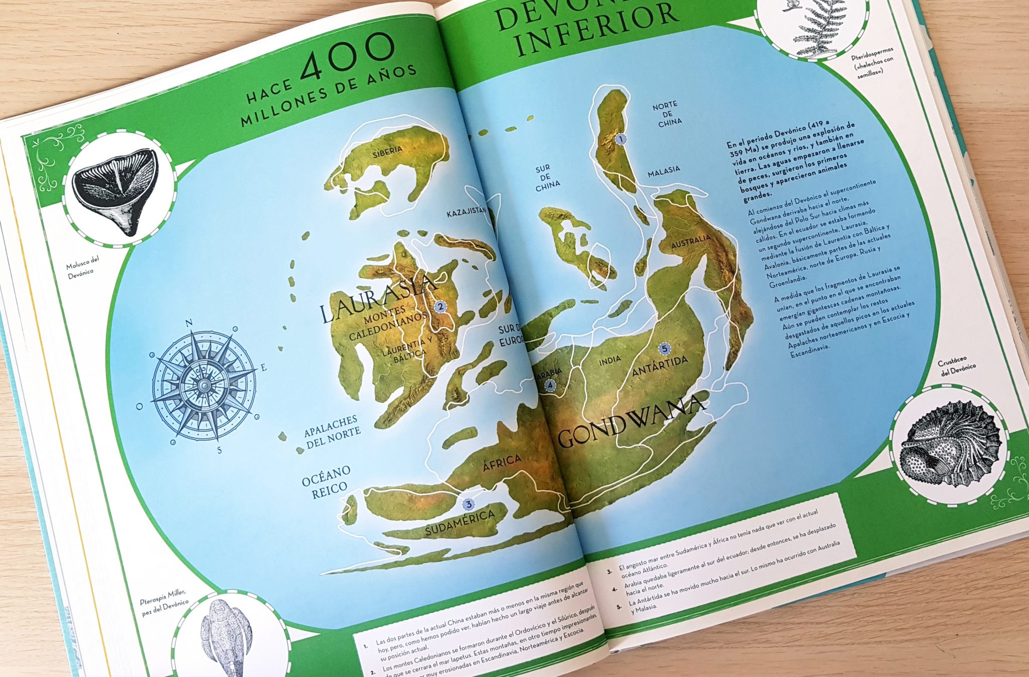 ORIGEN. La Formación de los Continentes y la Evolución de la Vida - La ...