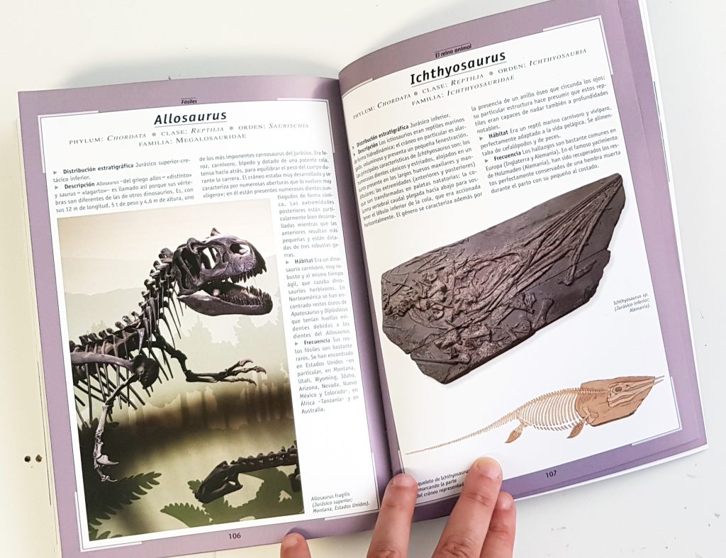 FÓSILES. Aprenda a reconocer las huellas de nuestro pasado - La Casa ...