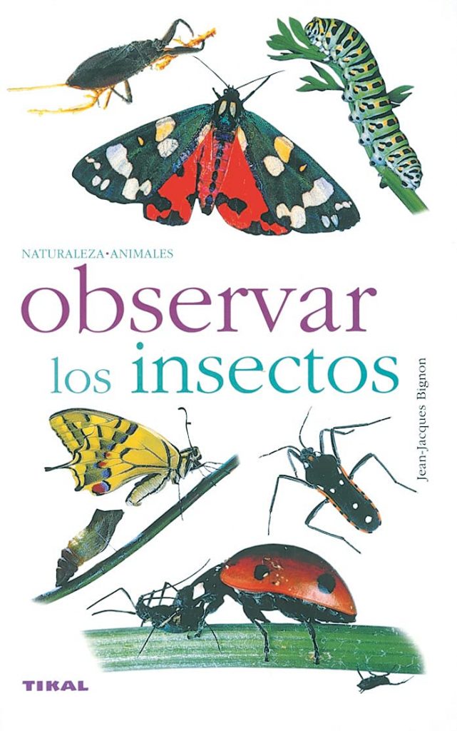 OBSERVAR LOS INSECTOS - La Casa Curiosa