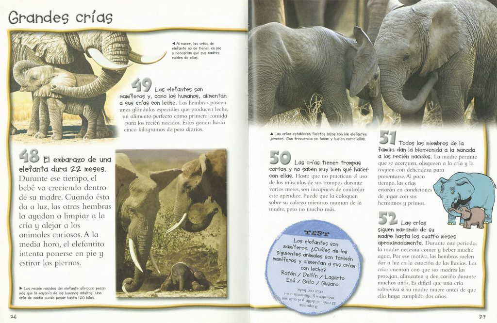 ELEFANTES: 100 cosas que deberías saber - La Casa Curiosa