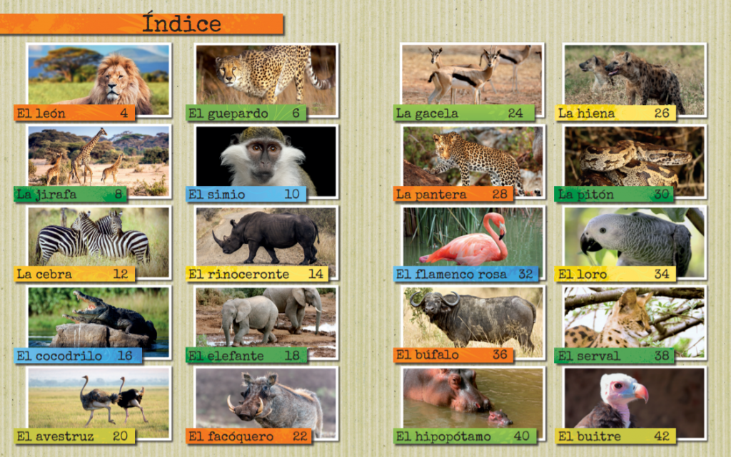 DESCUBRO LOS ANIMALES DE LA SABANA - La Casa Curiosa