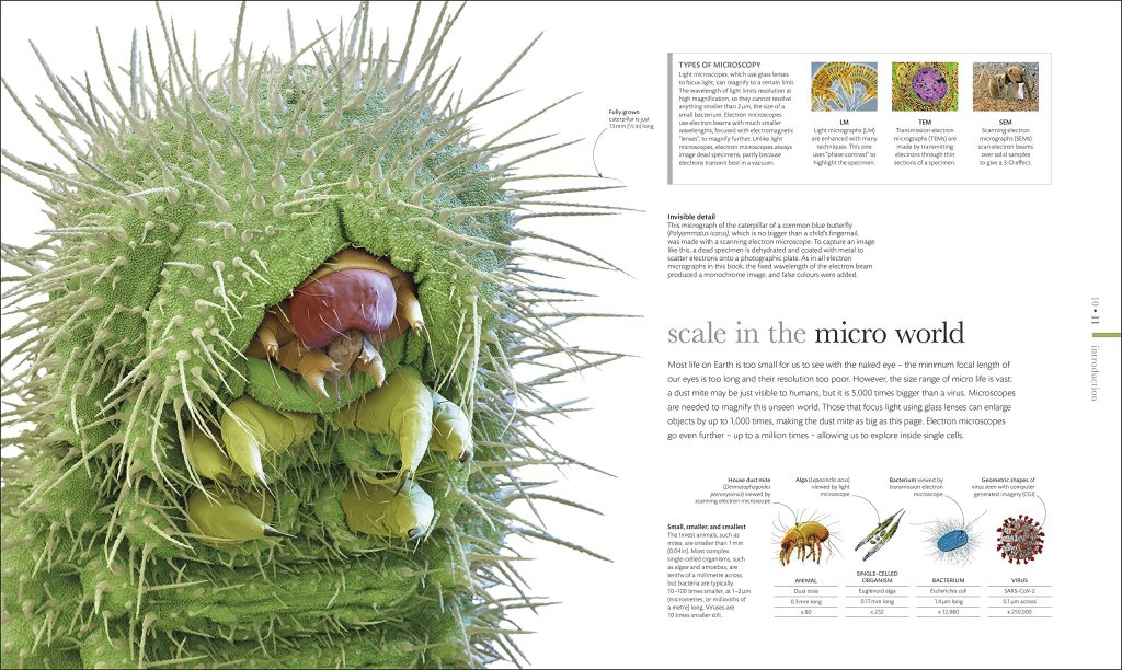 MICRO LIFE: Miracles of the Miniature World Revealed - La Casa Curiosa