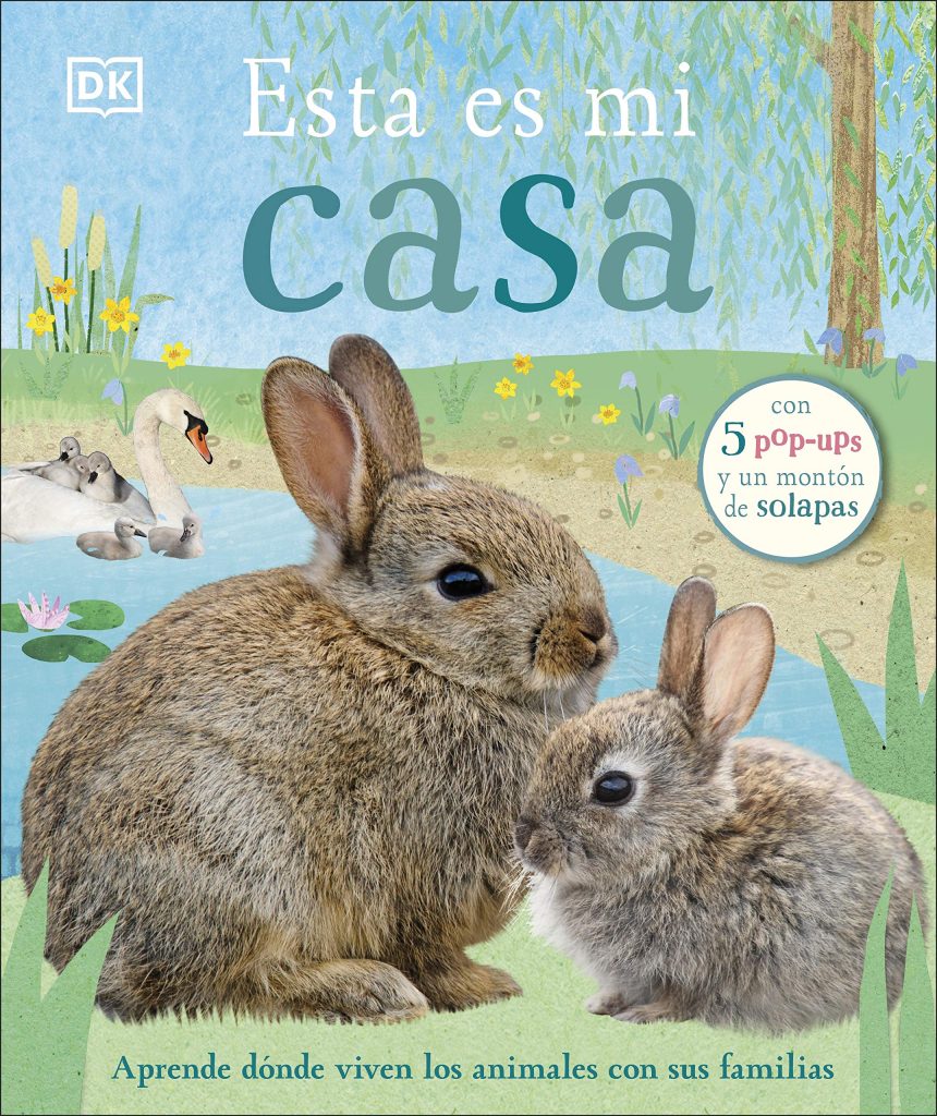 ESTA ES MI CASA - La Casa Curiosa