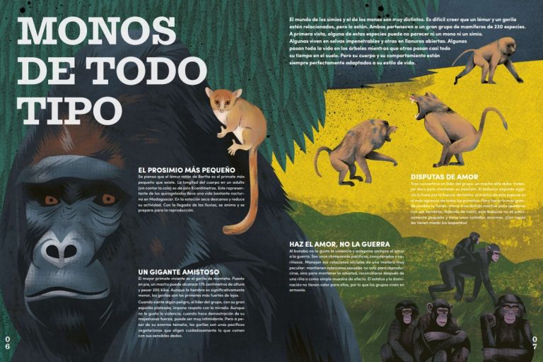 GUÍA ILUSTRADA DEL MUNDO DE LOS MONOS - La Casa Curiosa